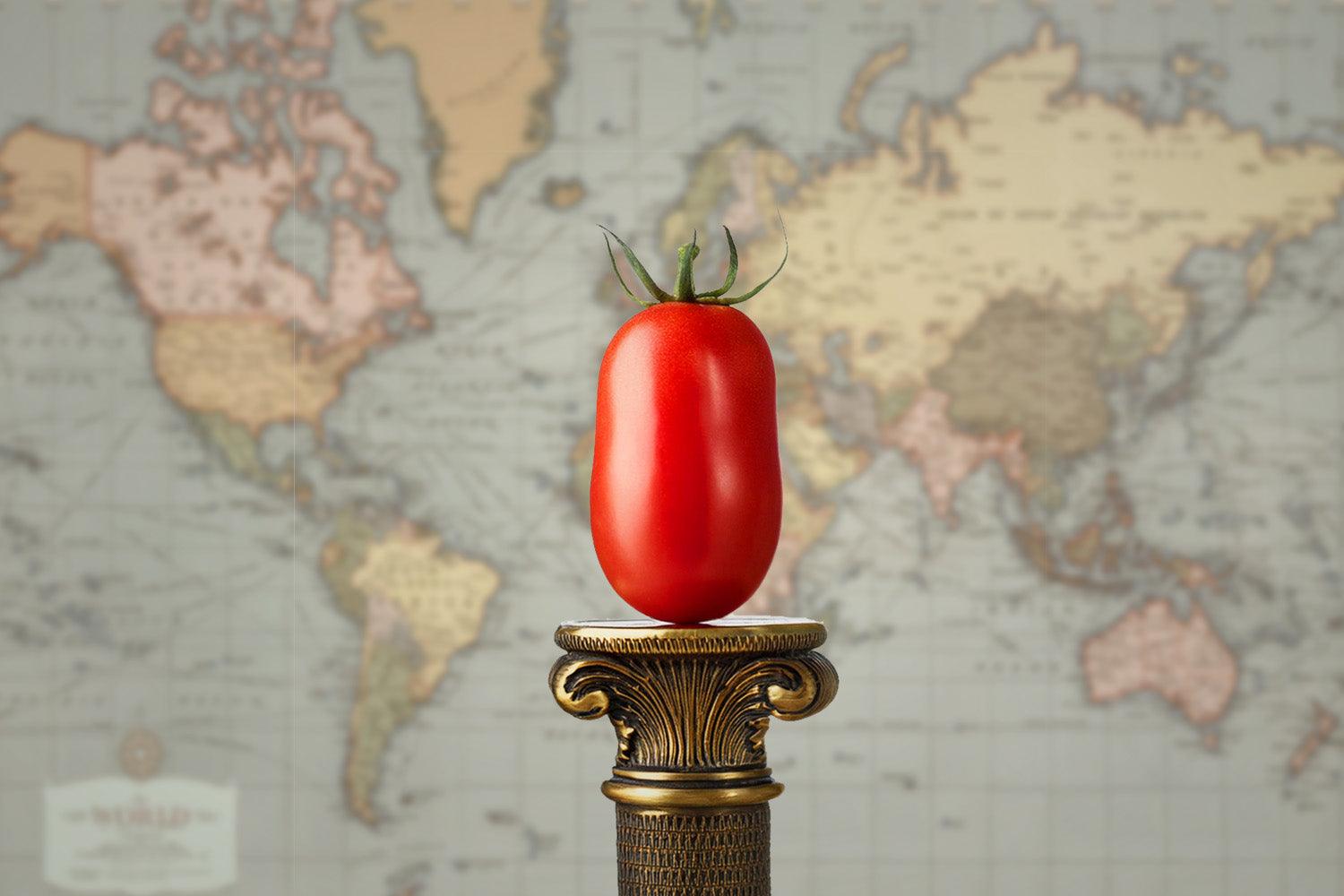 Learn – Ciao Tomatoes